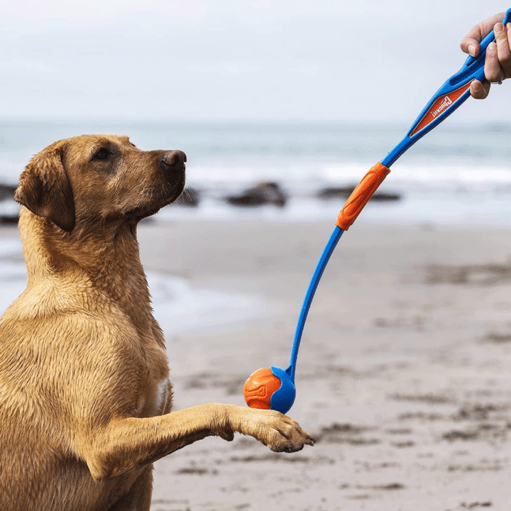 Lanza Pelotas para Perros Chuckit! Fetch & Fold Launcher – Mister Mascotas